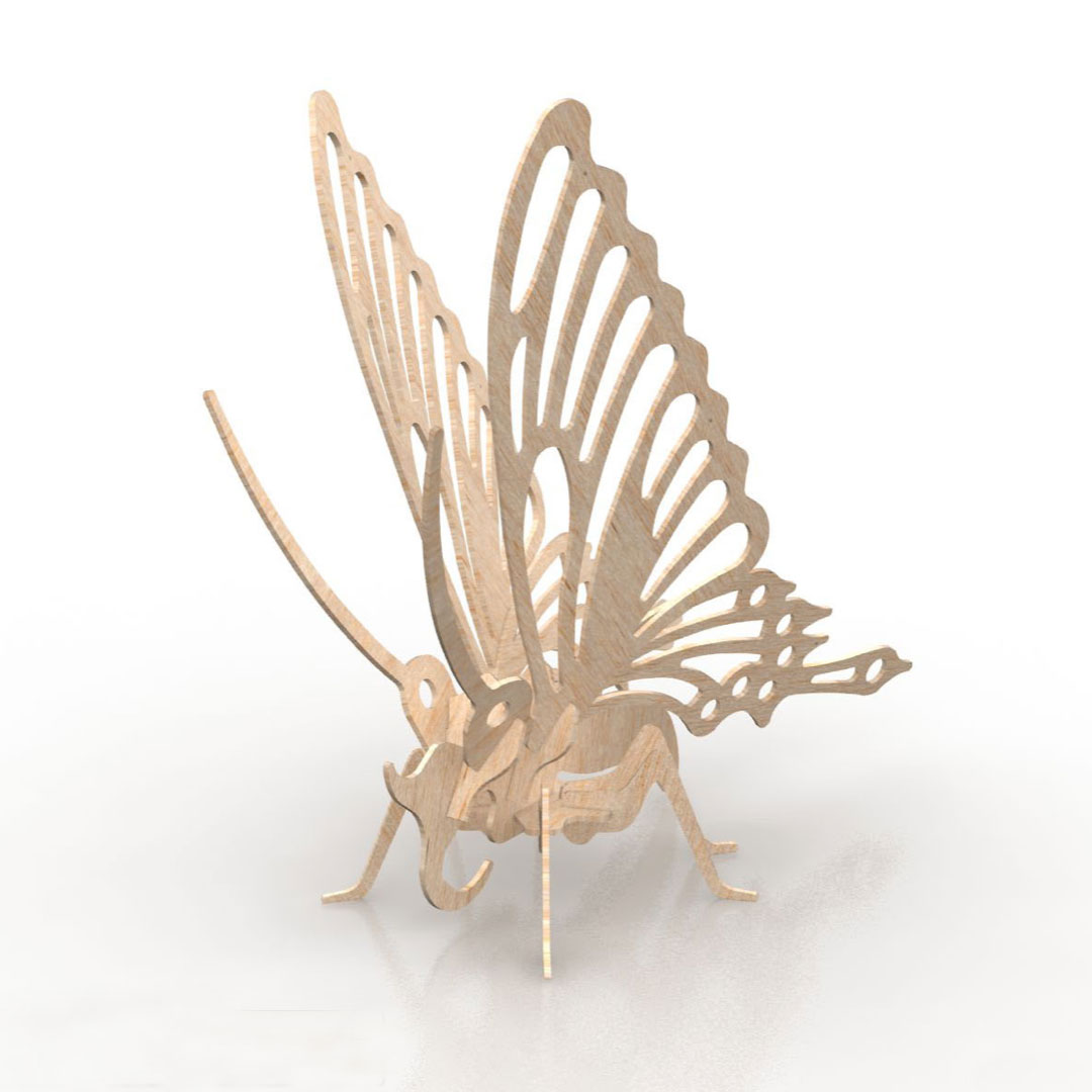 Beautiful Butterfly – Aeon Laser USA