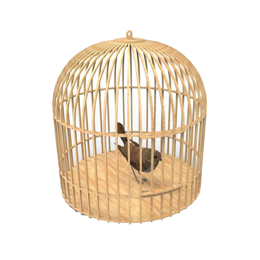 Bird Cage – Aeon Laser USA