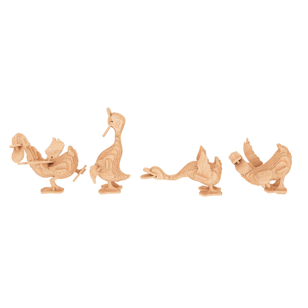 Ducks – Aeon Laser USA