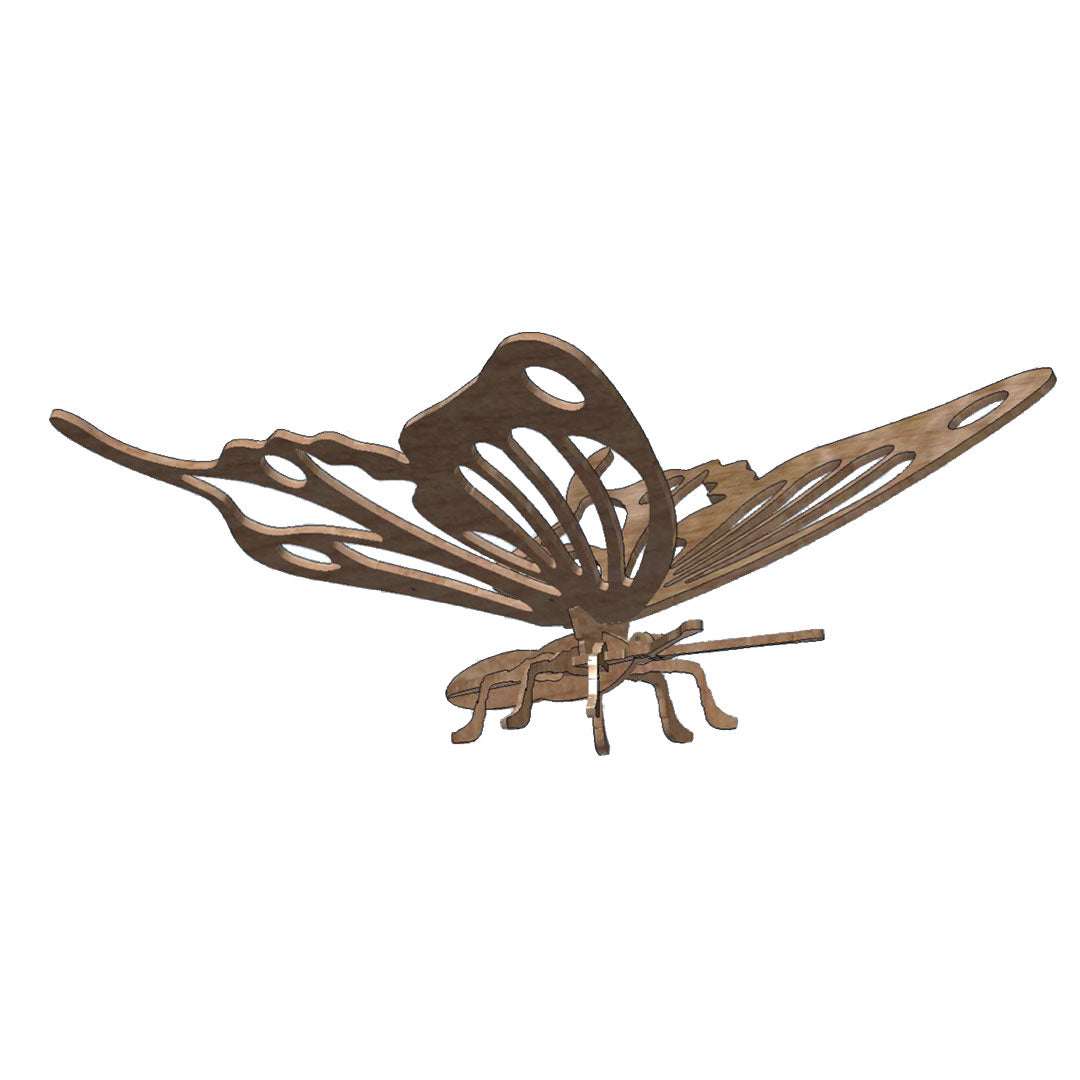 Elegant Butterfly – Aeon Laser USA