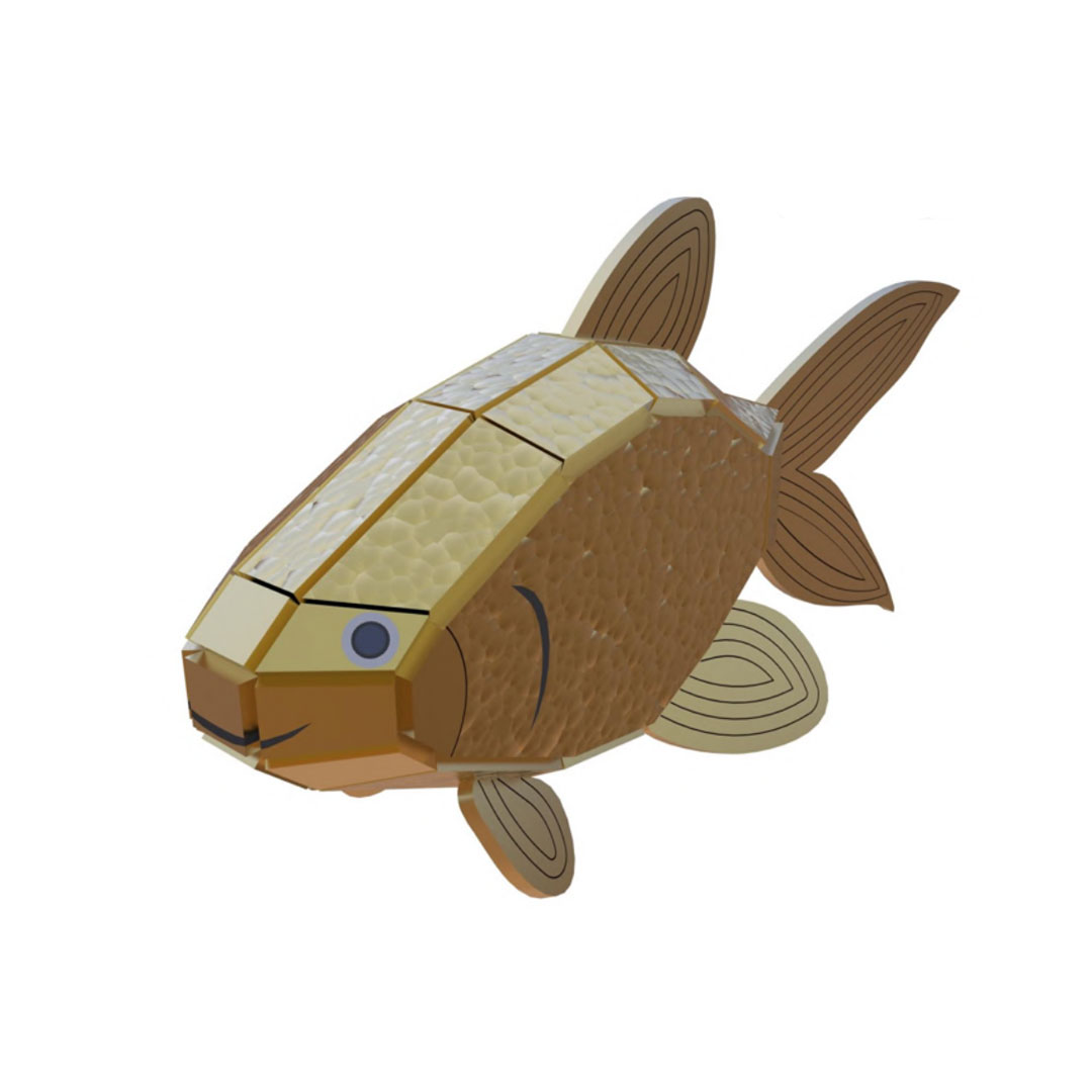 Goldfish – Aeon Laser USA