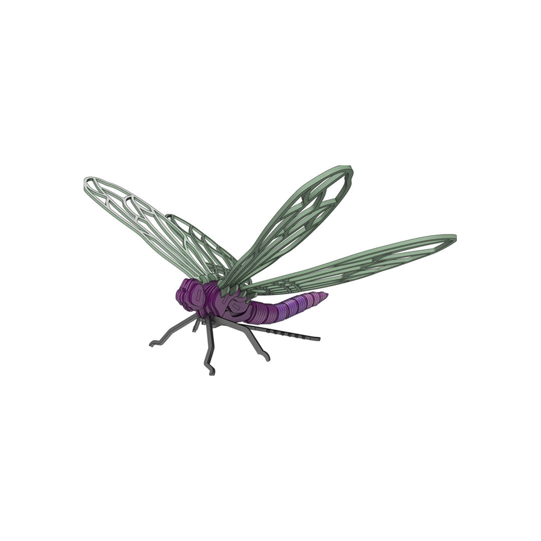 Hine's Emerald Dragonfly – Aeon Laser USA