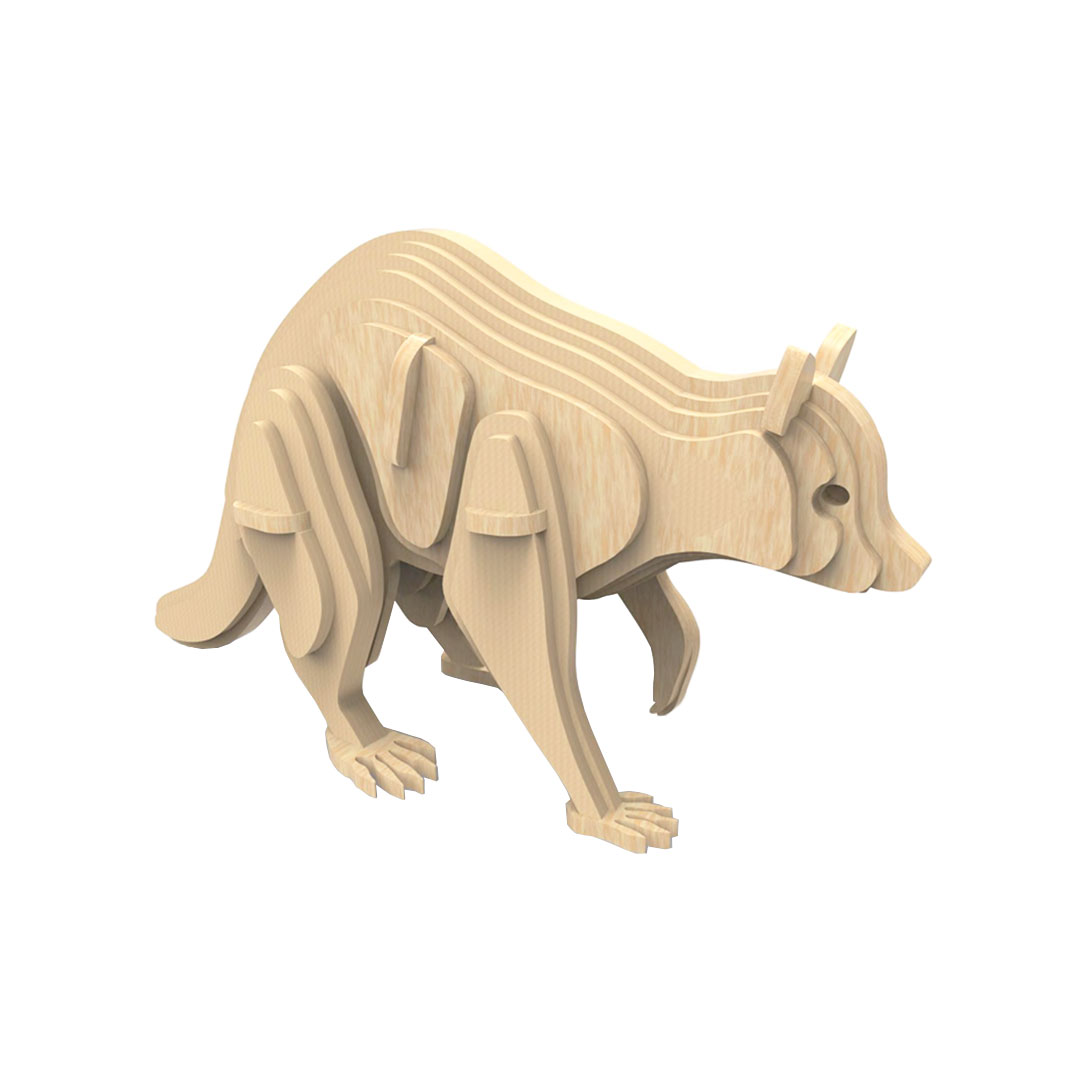 Raccoon – Aeon Laser USA