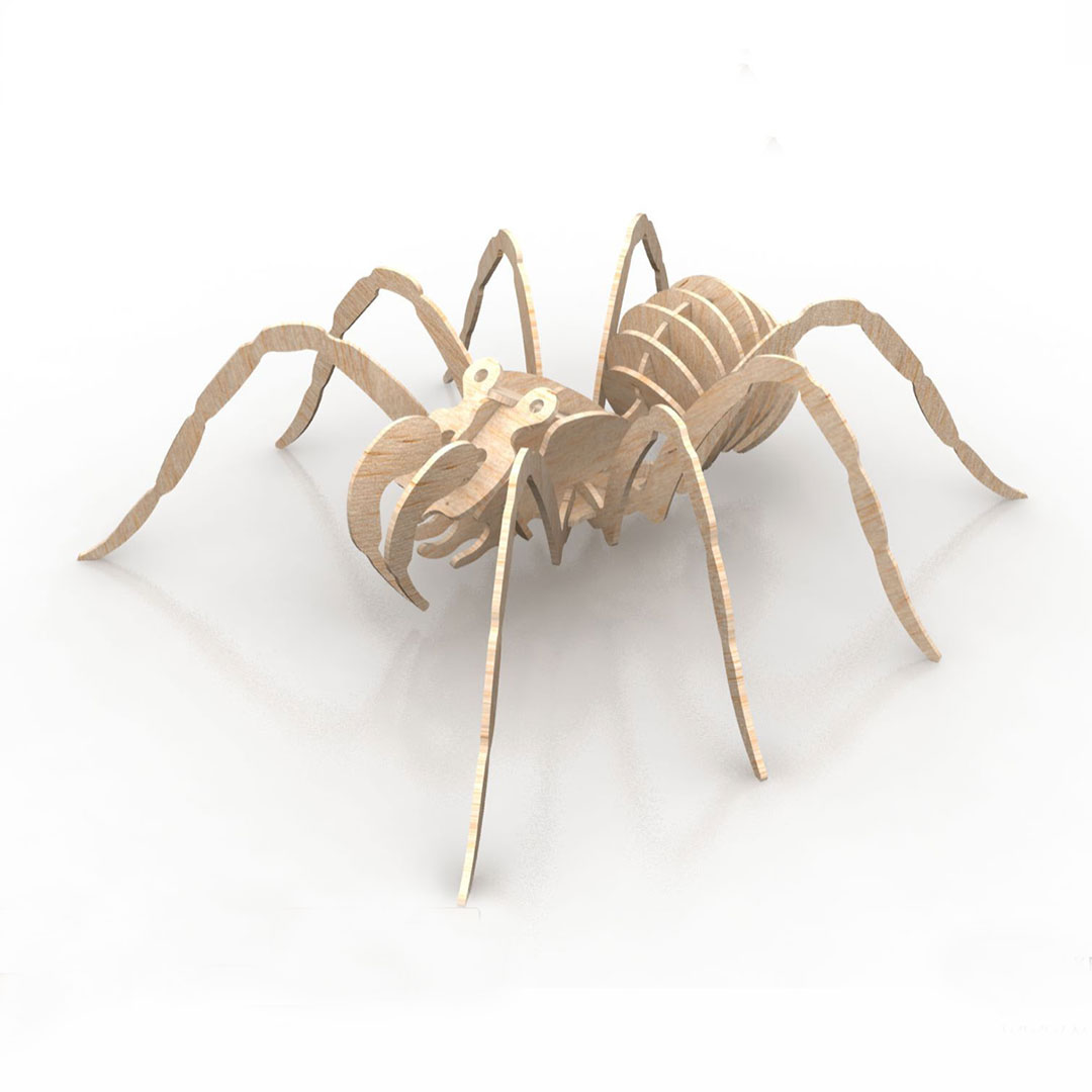 Spider – Aeon Laser USA